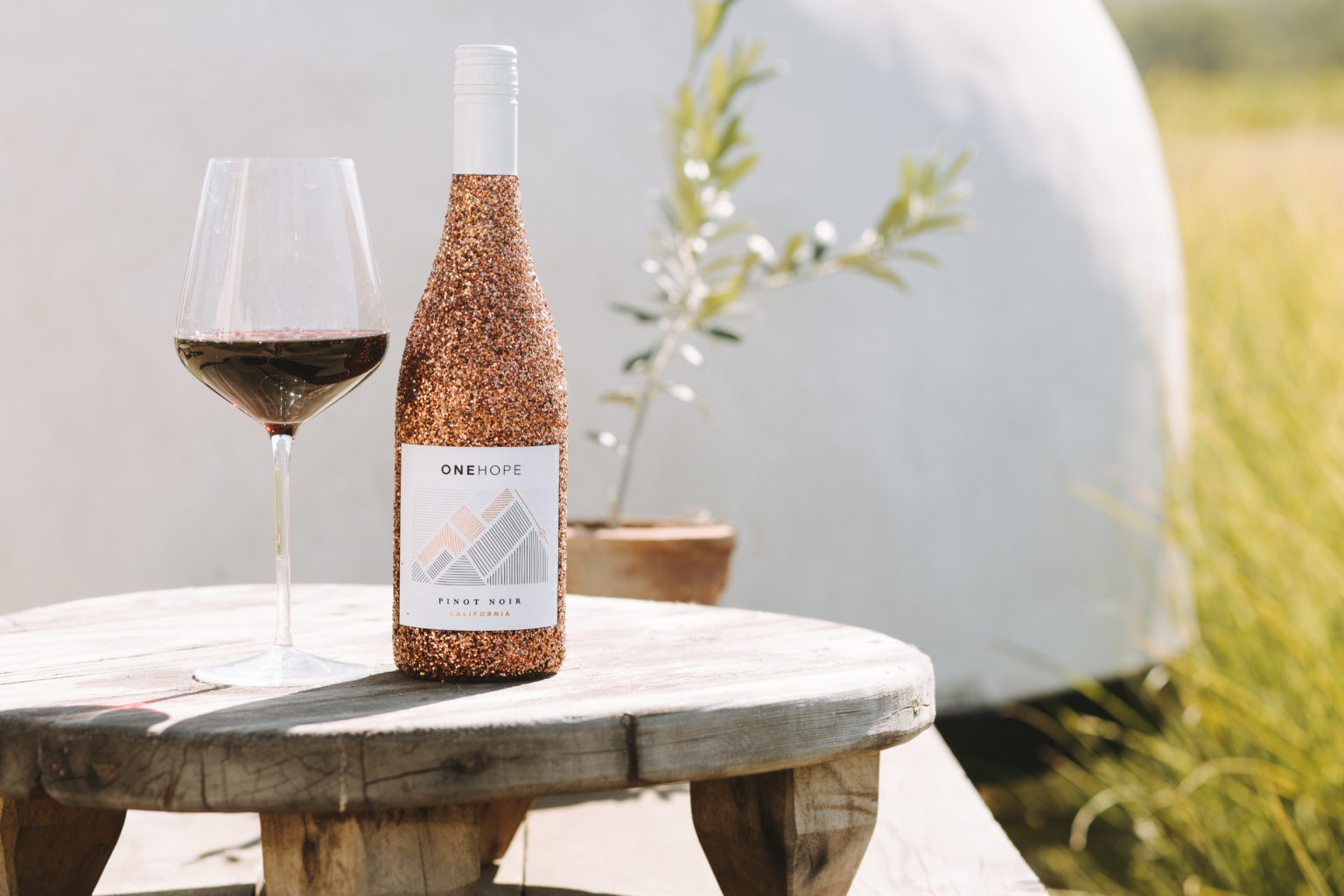 The Ultimate Pinot Noir Guide | ONEHOPE Wine